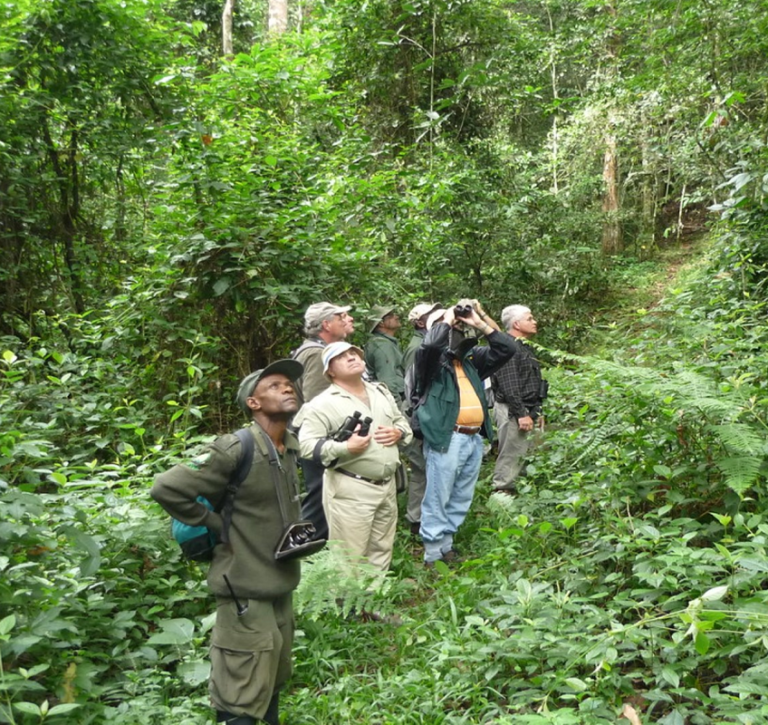 Guided Nature Walks - Kibale Forest National Park